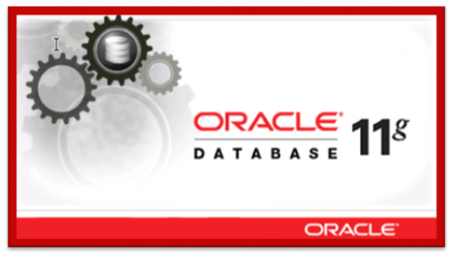 Oracle Database 11g Logo